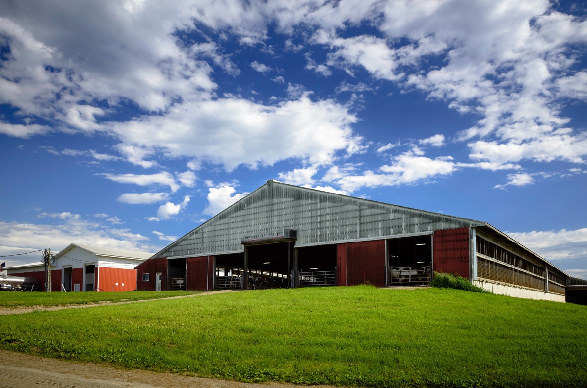 CAFO Support | Agricultural Consulting Services